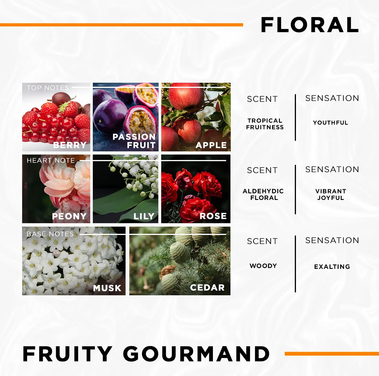 All Collections – Make Your Own Perfume