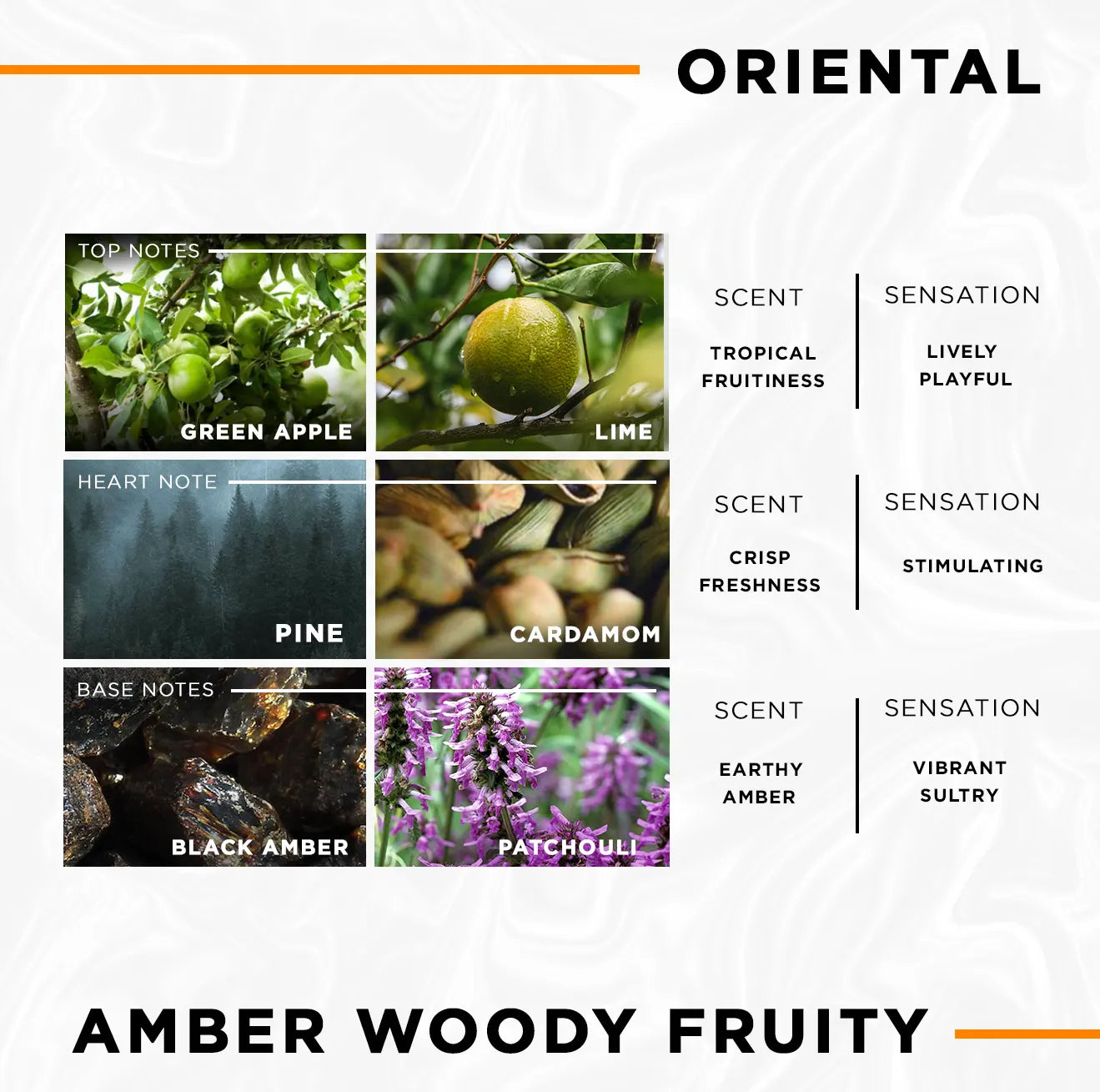 Make Your Own Perfume | India's First Perfume Bar | MYOP